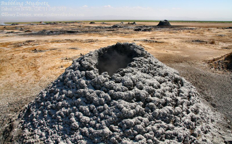 Southwest Birders - Salton Sea Geothermal Pools 11 Sep, 2011